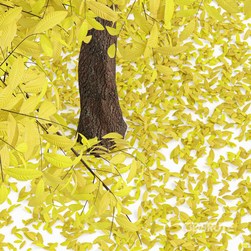 Quercus Serrata and Spanish Moss 3d model Buy Download 3dbrute