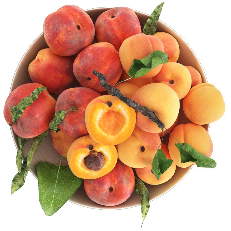 bowl of apricots and peaches 3d model Buy Download 3dbrute
