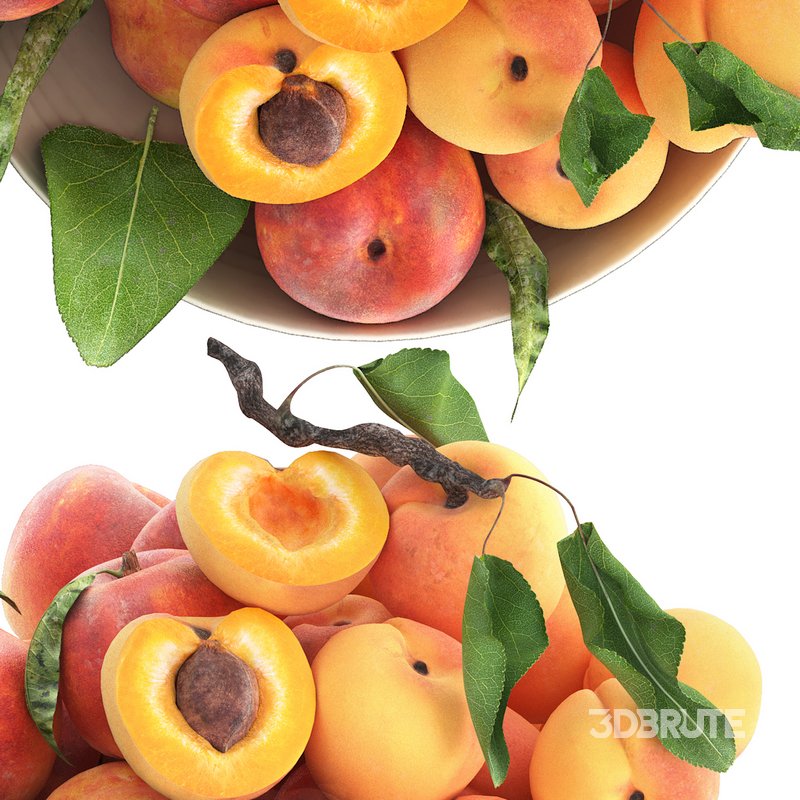 bowl of apricots and peaches 3d model Buy Download 3dbrute