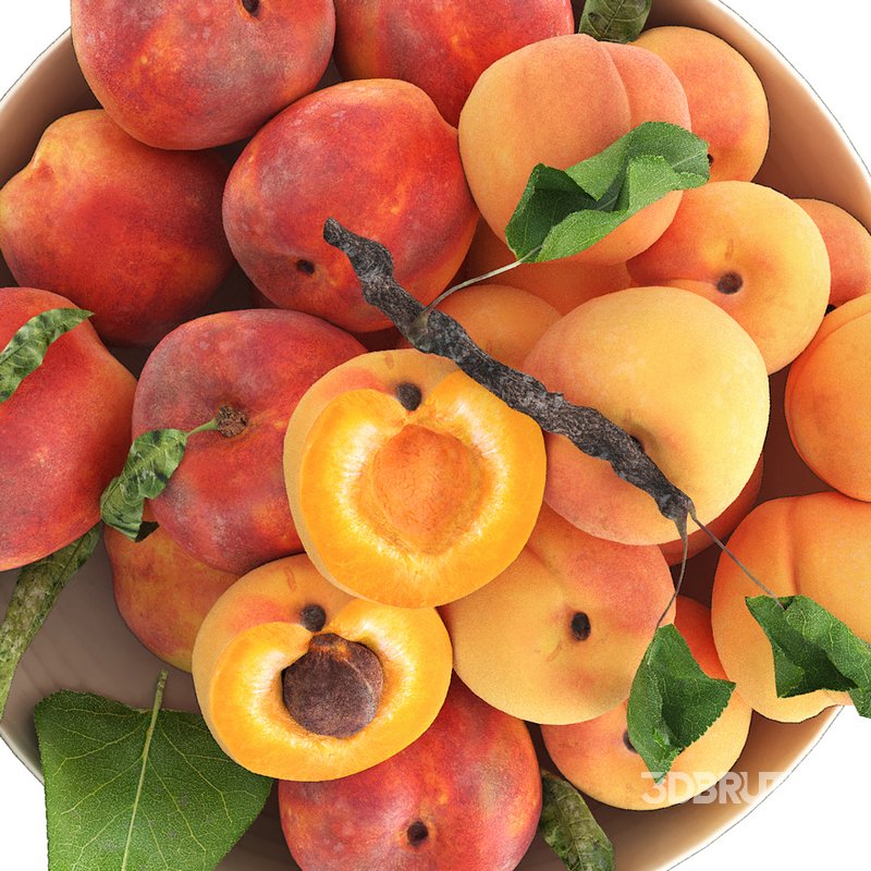 bowl of apricots and peaches 3d model Buy Download 3dbrute