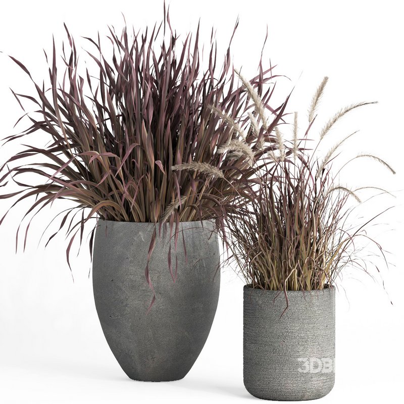 outdoor indoor plant007 Saabira charcoal 3d model Buy Download 3dbrute