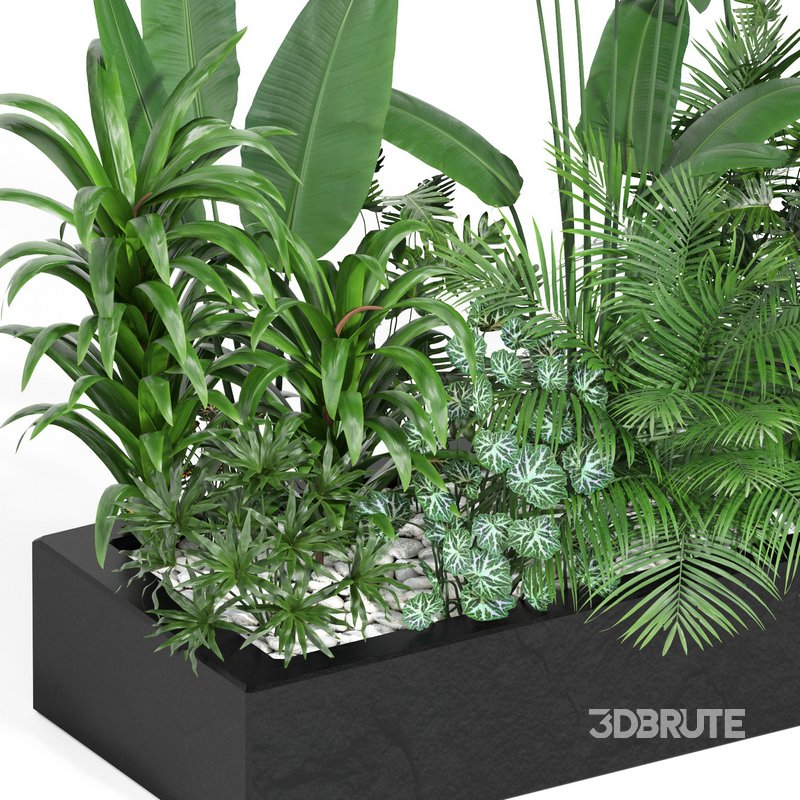 indoor plant set007 collection 3d model Buy Download 3dbrute