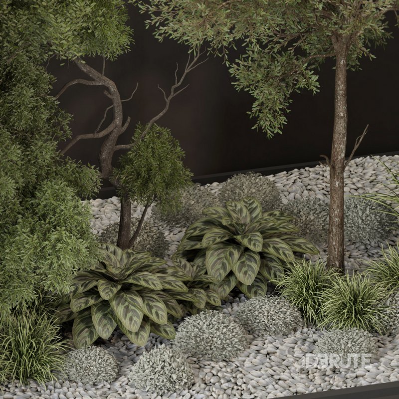 outdoor garden tree plant011 collection 3d model Buy Download 3dbrute