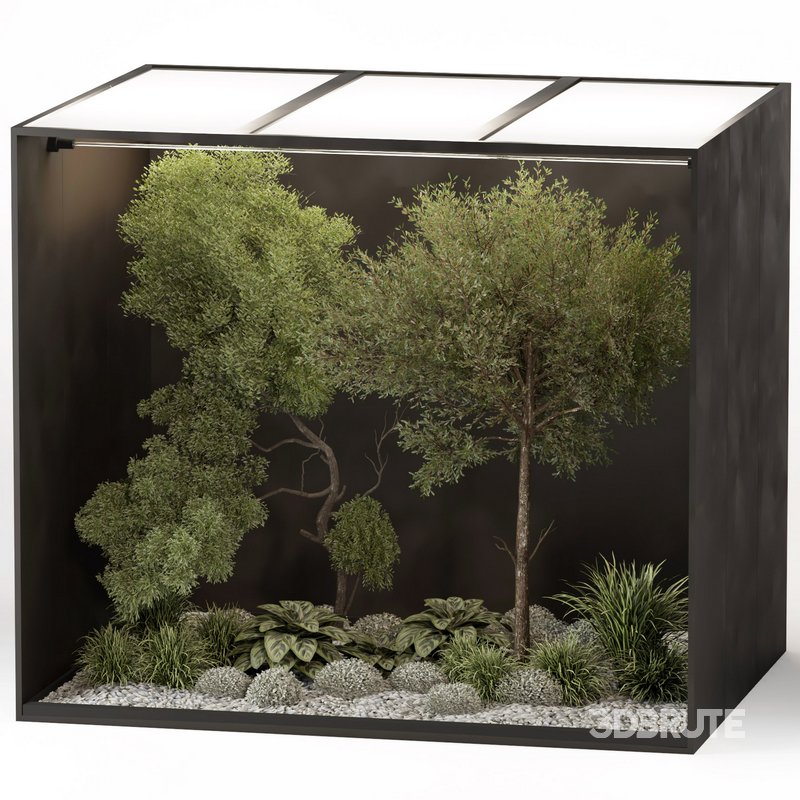 outdoor garden tree plant011 collection 3d model Buy Download 3dbrute
