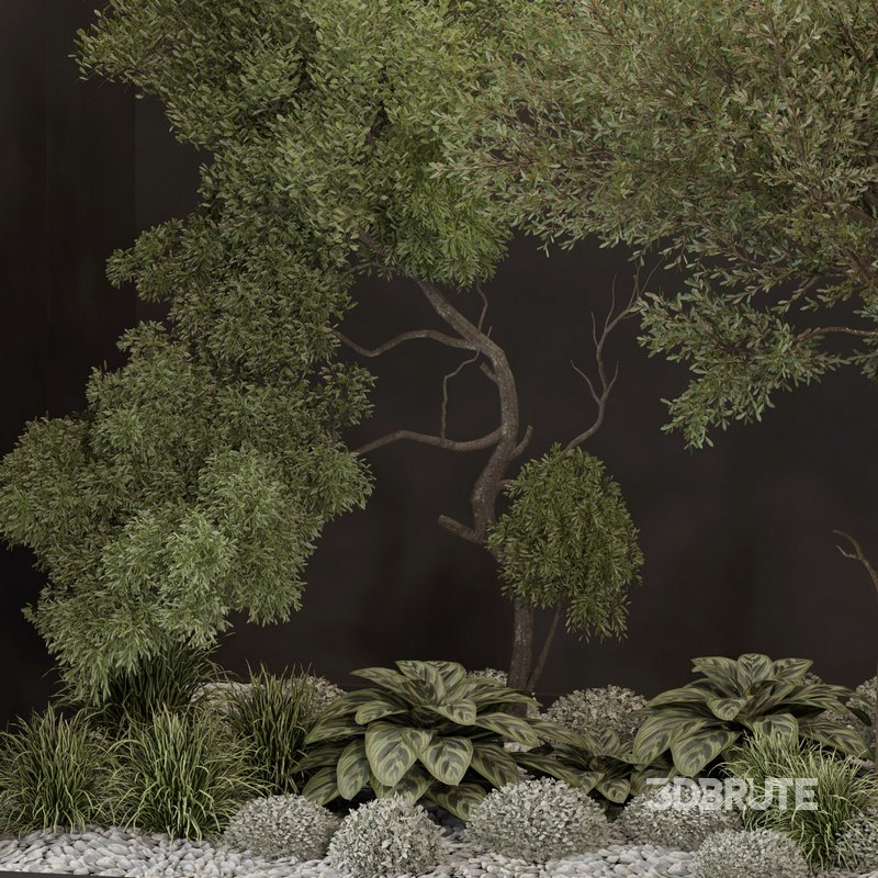 outdoor garden tree plant011 collection 3d model Buy Download 3dbrute