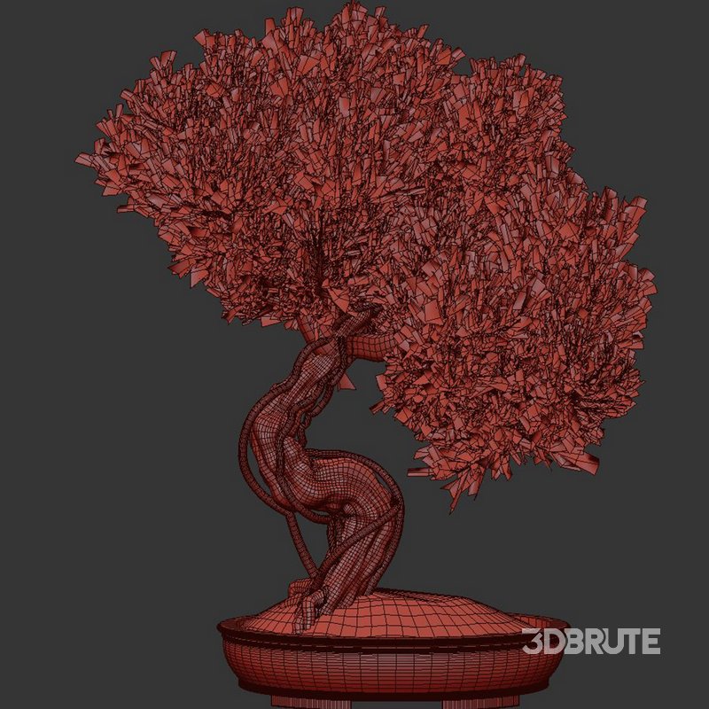 Bonsai Tree set7 3d model Buy Download 3dbrute