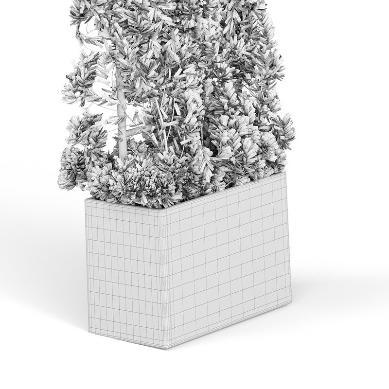 Botanical Planter 3d model Buy Download 3dbrute