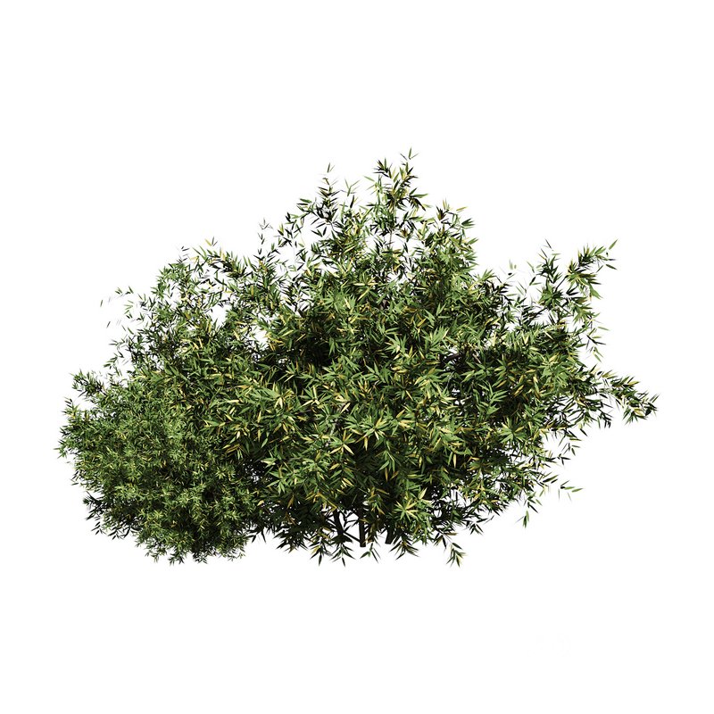 Natural Topiary Bush 3d model 3dbrute