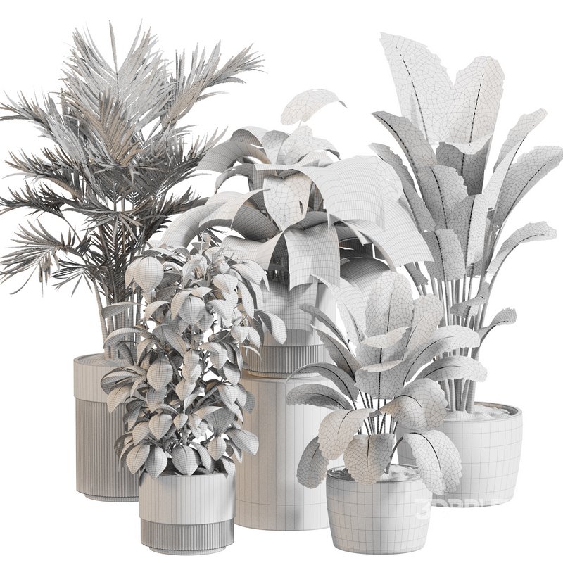Indoor Plant Set 0117 3d model 3dbrute