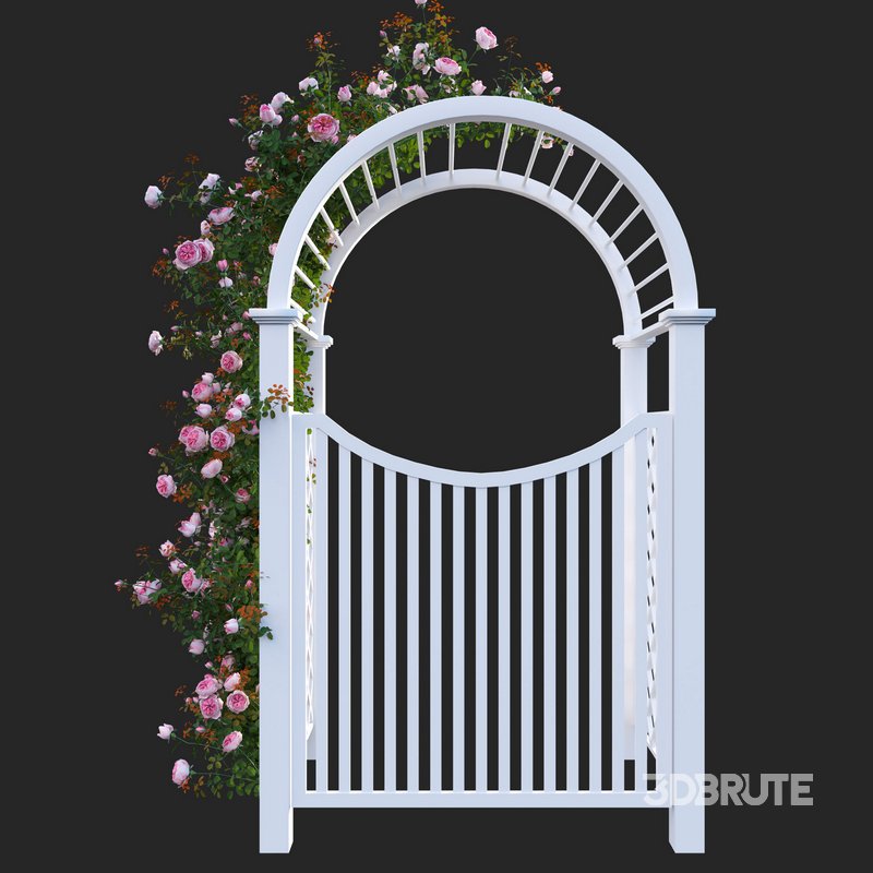 Climbing Rose 3d model 3dbrute