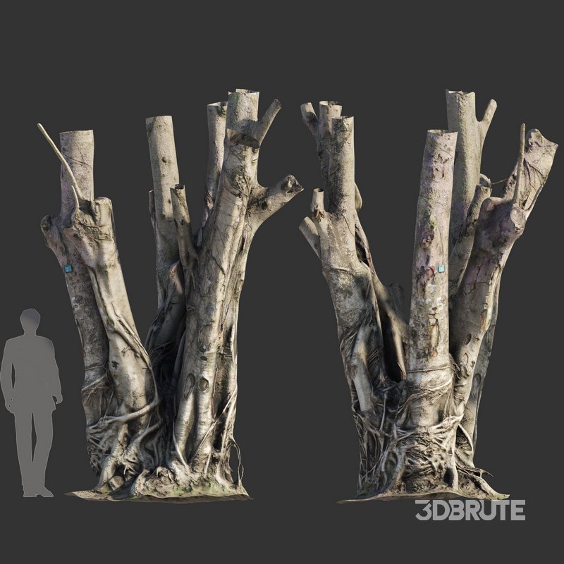 trunk vol 2 3d model Buy Download 3dbrute