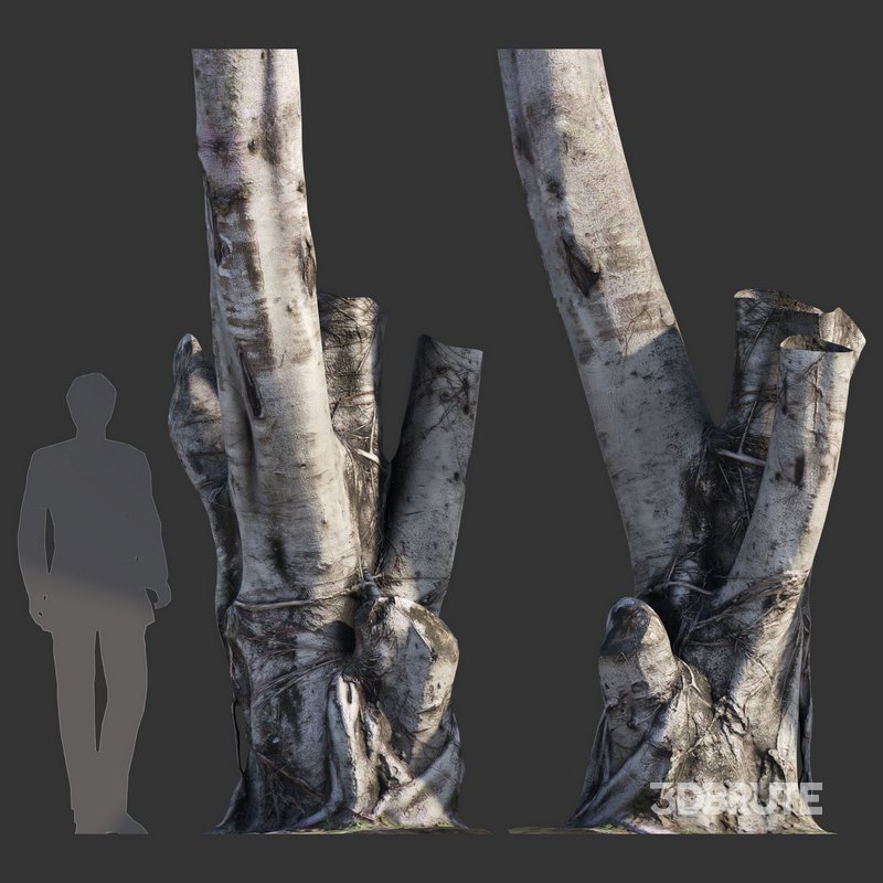 trunk vol 2 3d model Buy Download 3dbrute