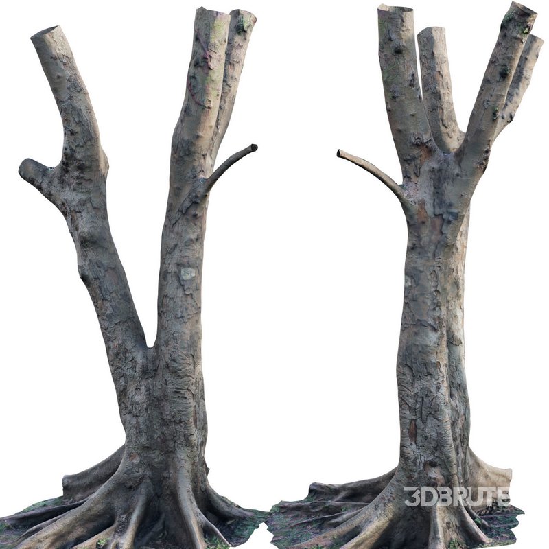 Tree - 3dmodel 3dbrute