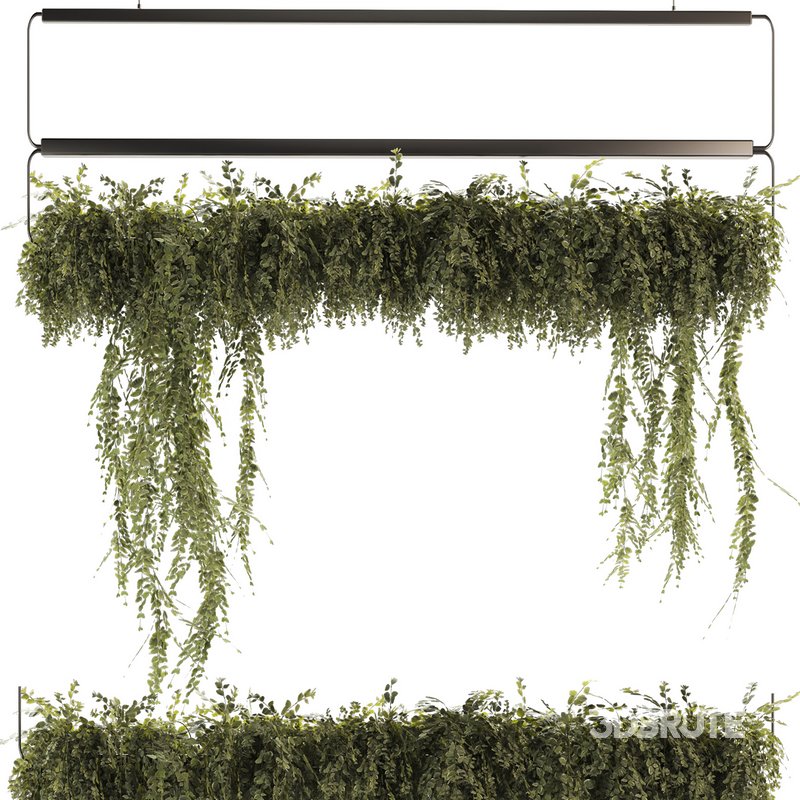 Indoor Plants-Ivy Plant-set-52 3d model 3dbrute