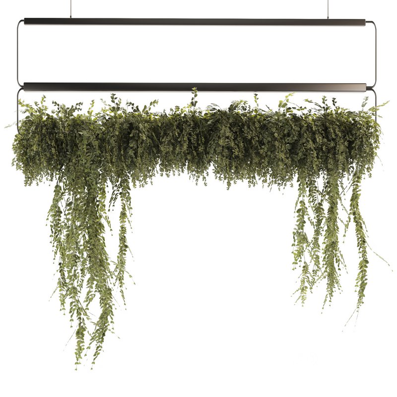 Indoor Plants-Ivy Plant-set-52 3d model 3dbrute