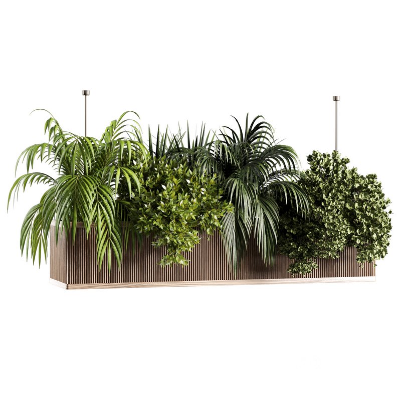 Indoorplants-Hanging set-67 3d model Buy Download 3dbrute