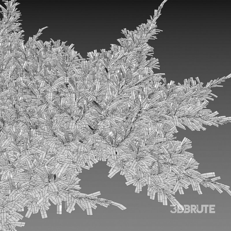 Juniperus horizontalis - Creeping Juniper 3d model 3dbrute