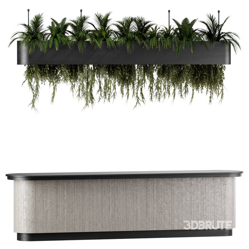 Reception Desk With Hanging Plants - Set10 3d model 3dbrute