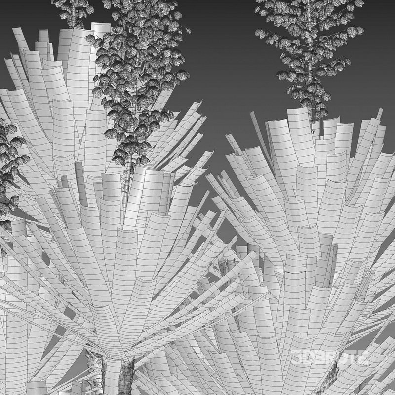 Yucca aloifolia - Spanish bayonet - Aloe yucca 3d model 3dbrute