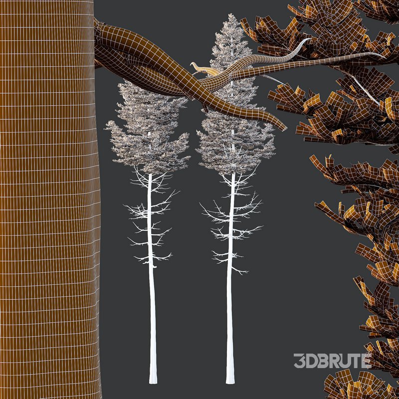 spruce tree14 3d model 3dbrute