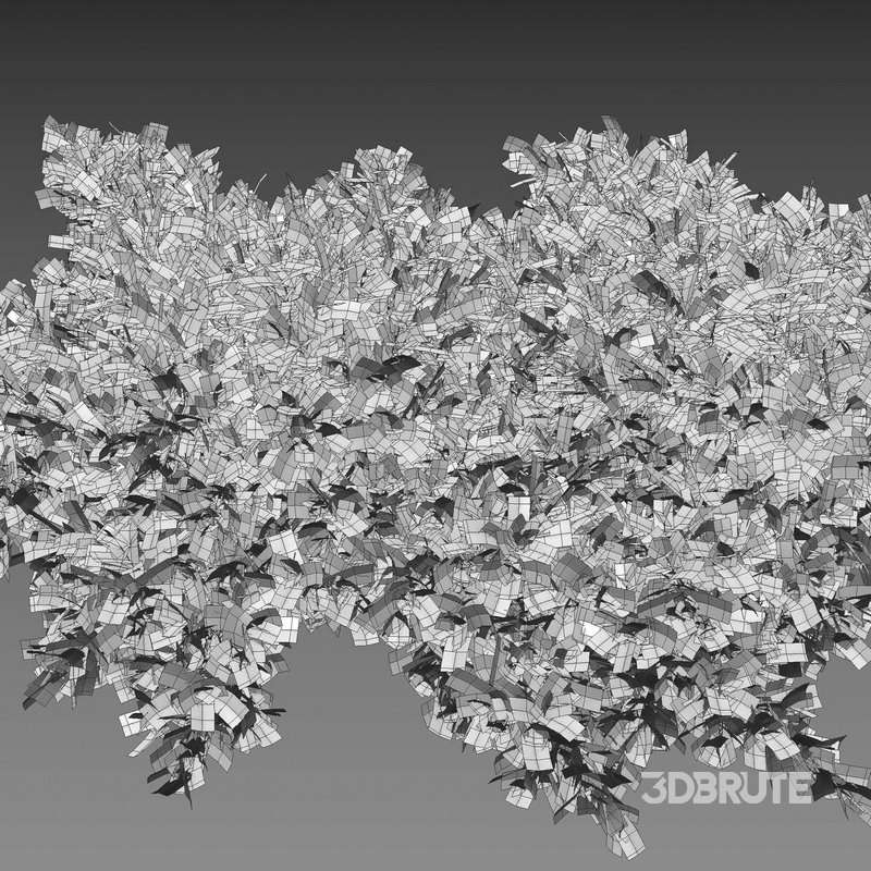 Juniperus procumbens - Garden Juniper 01 - Download -3d Models Free ...
