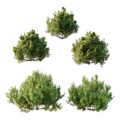 Different bush 01 3D model 3dbrute