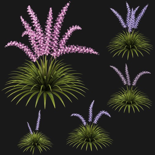 Fantasy grass cluster 3D model 3dbrute