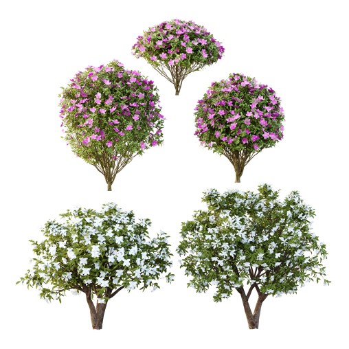 Different bush 04 3D model 3dbrute