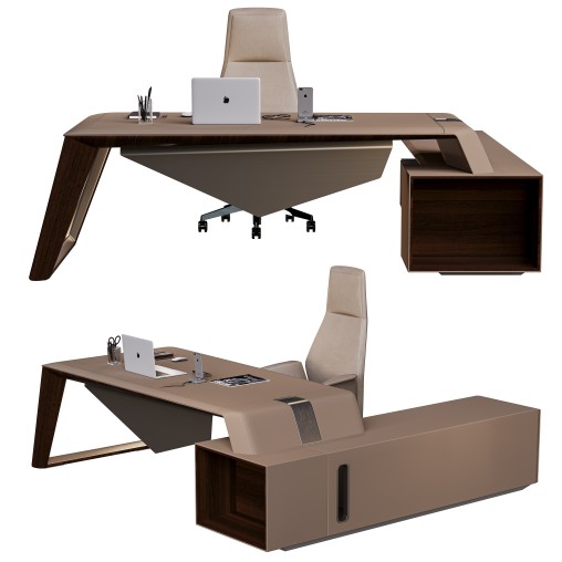 Ceo Office 3d